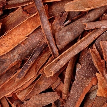 Cassia Bark is a common botanical in Gin