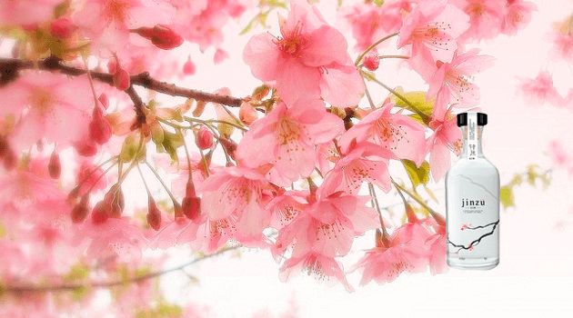 Jinzu Gin, made using sake. Review on Gin Foundry