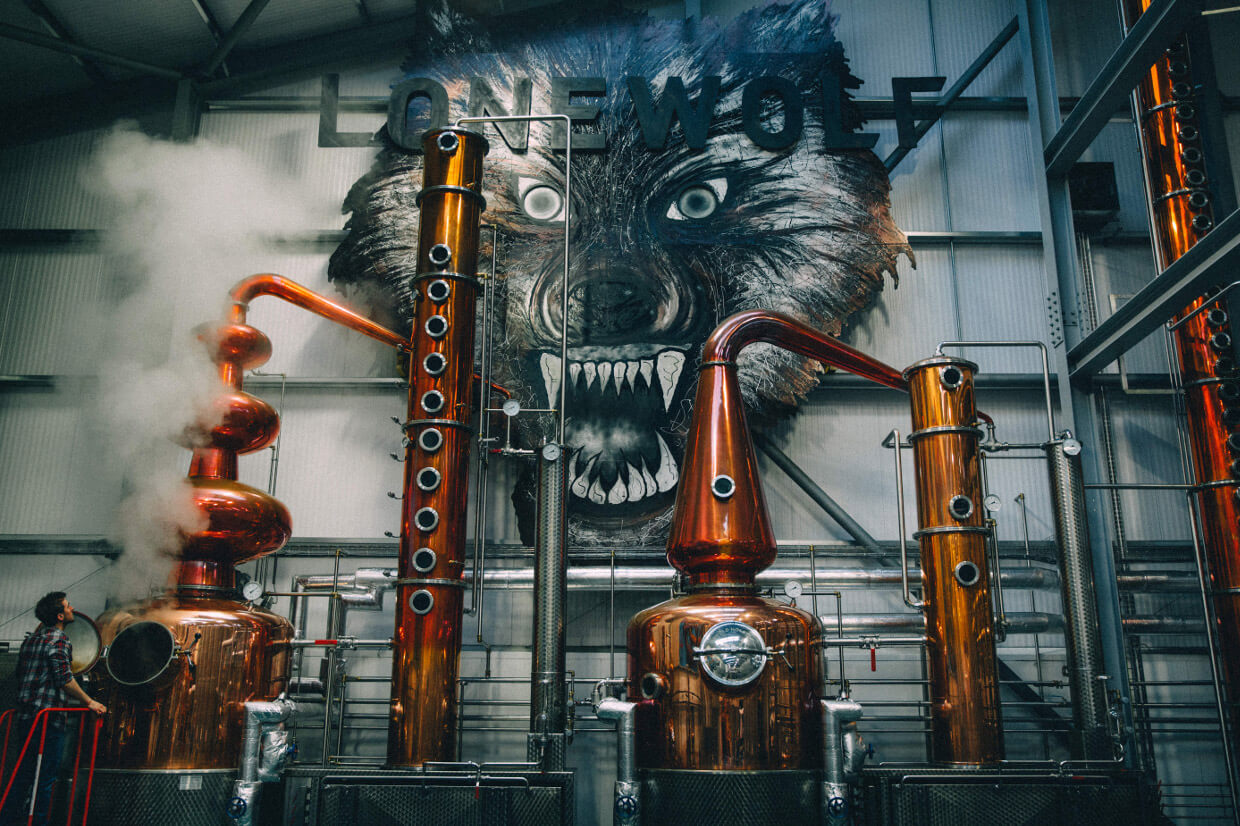 Lone Wolf Gin. We review Brewdog's first foray into distilling.